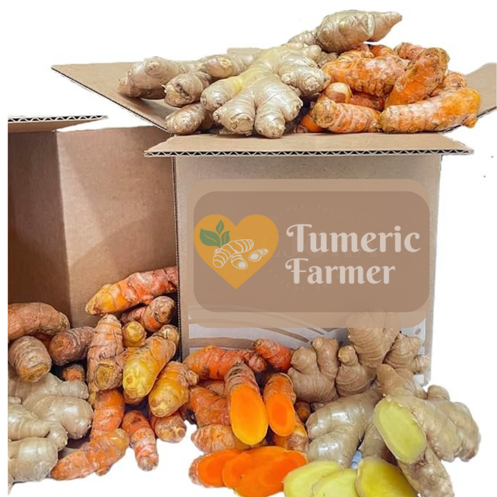 Naturally Grown Ginger & Tumeric Root - Fresh & Hand-Picked