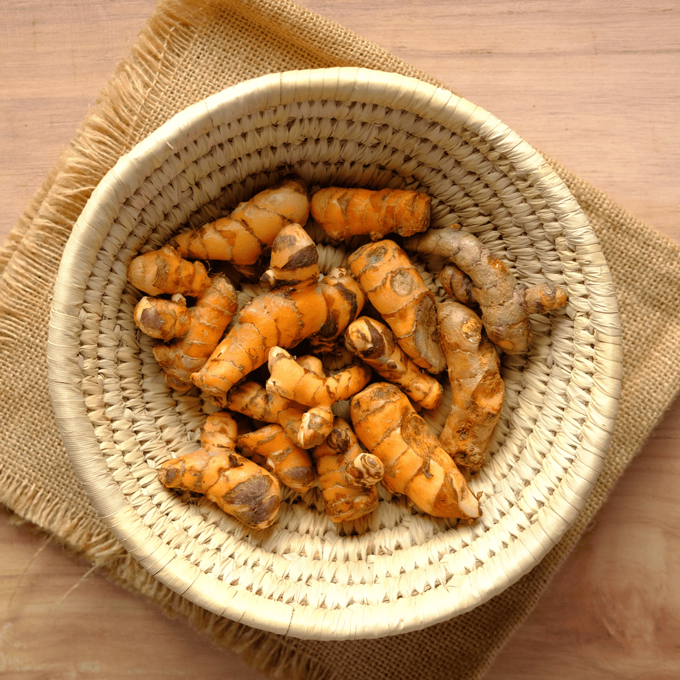 Fresh Wild-Variety Tumeric Root (4 oz) | Tumeric Farmer